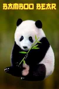 Play rewarding casino games 24/7 at Revolution Casino